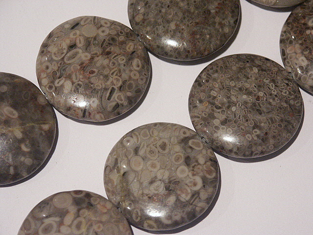 Ocean Fossil Jasper Coin 30mm – The Beadster