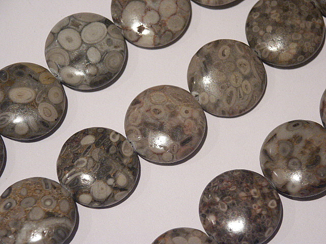 Ocean Fossil Jasper Coin 20mm - The Beadster